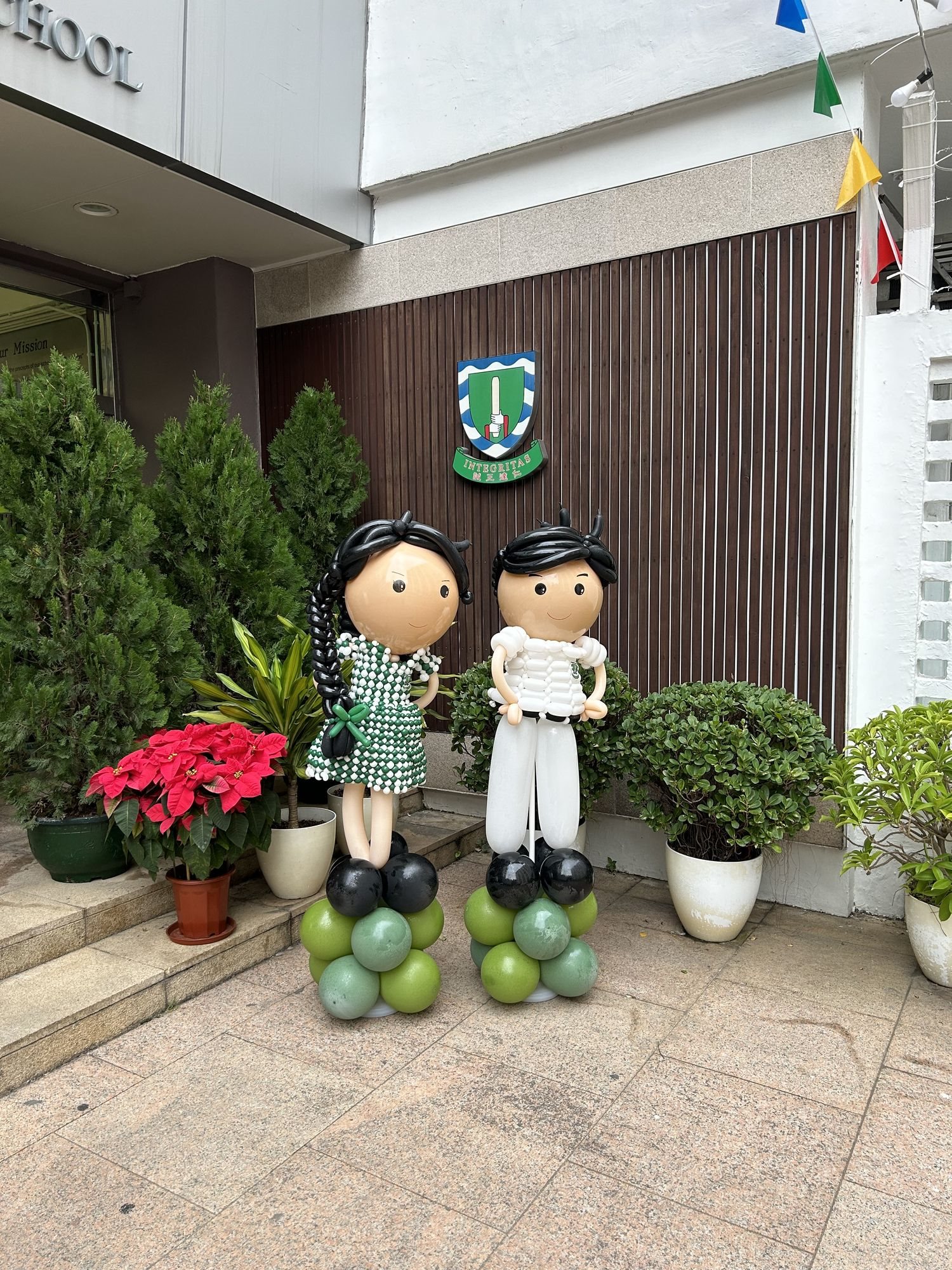 Information Day for P6